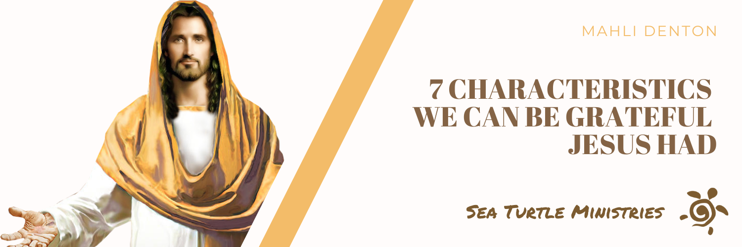 7 Characteristics We Can Be Grateful Jesus Had - Sea Turtle Ministries